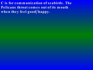 Seabirds Research | PPT