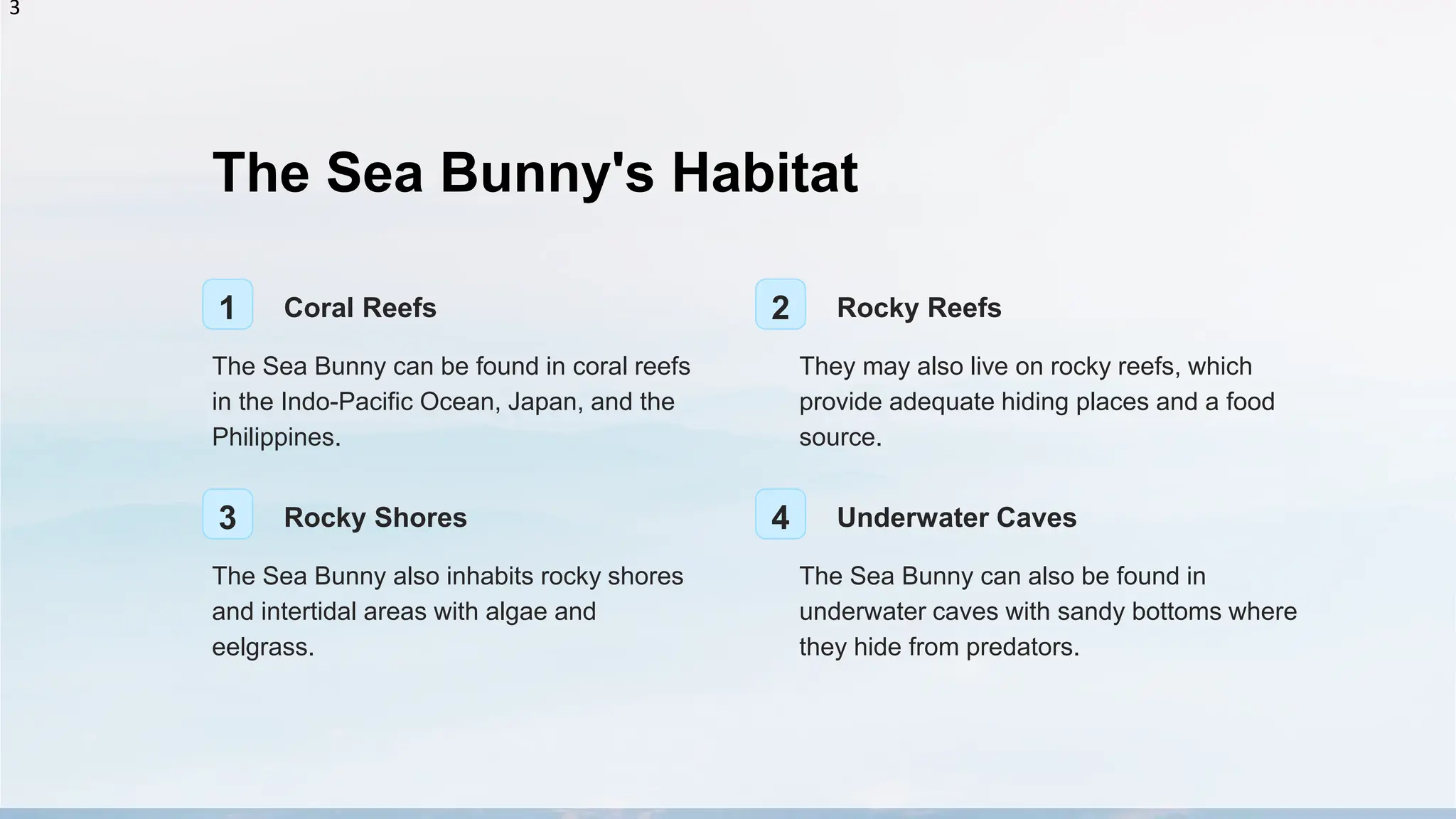 The cute Sea_Bunny-(Jorunna-parva)[111] .pptx. | PPTX