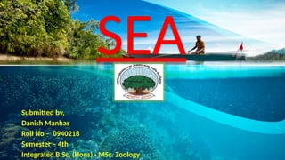 Sea, Types, Defining Boundaries of Seas, Zones/Layers | PPTX