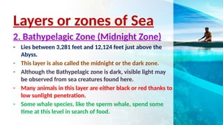 Sea, Types, Defining Boundaries of Seas, Zones/Layers | PPTX