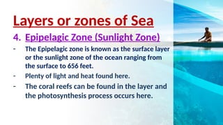 Sea, Types, Defining Boundaries of Seas, Zones/Layers | PPTX