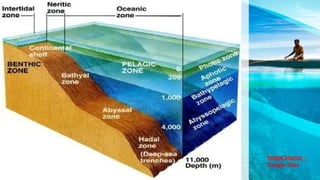 Sea, Types, Defining Boundaries of Seas, Zones/Layers | PPTX