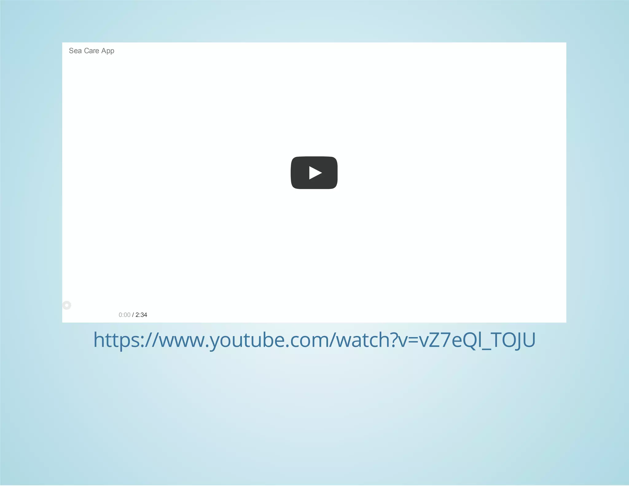 Sea Care App presentation | PDF