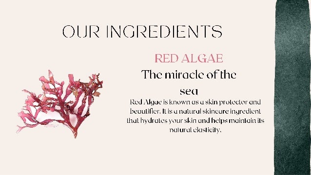 Best Red Algae Skincare Products | PPTX