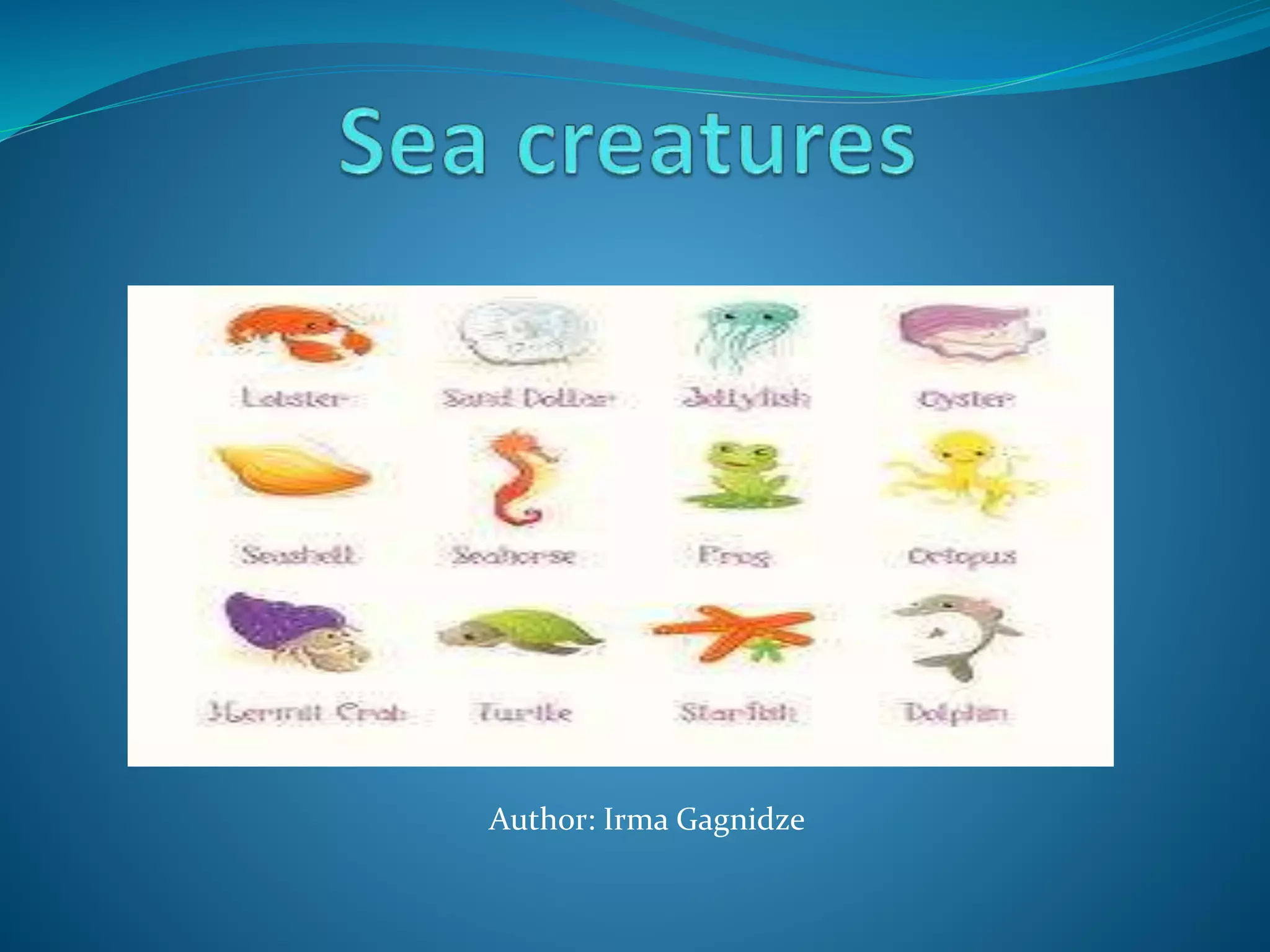Sea creatures | PPT