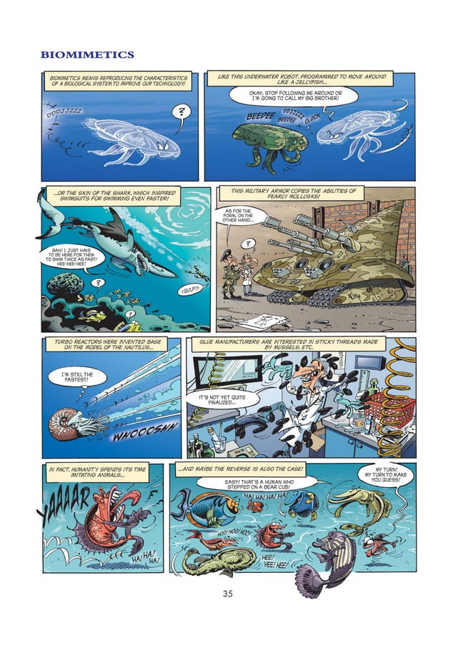 Sea creatures 01 reef madness | PDF | Nature | Genres