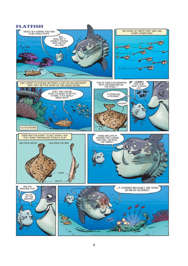 Sea creatures 01 reef madness | PDF | Nature | Genres