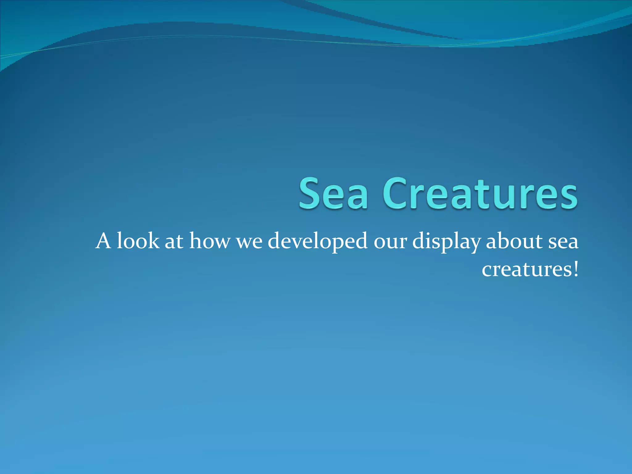 Sea creatures England | PPS