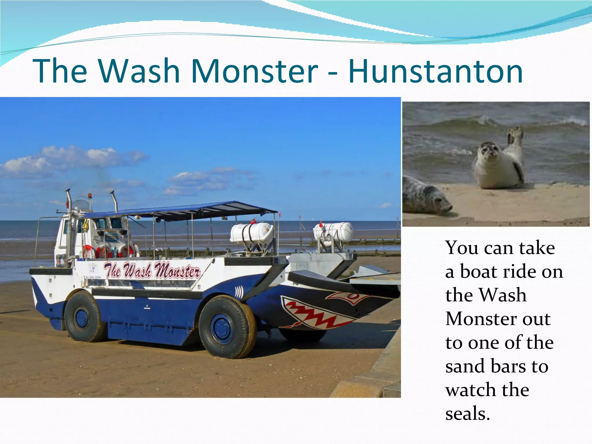 Sea creatures England | PPS