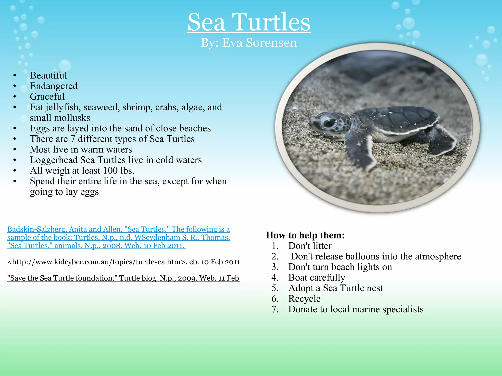 Sea Creatures PowerPoint | PPT