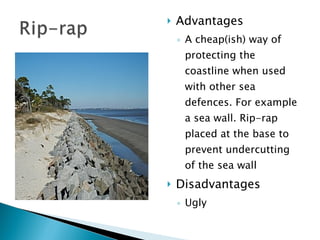 Sea Defences Revision | PPT