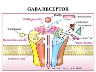 SEADTIVE HYPNOTIC DRUGS PPT 2.pdf hghhhhhh we | PPT