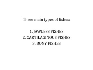 Sea ecosystem | PPTX