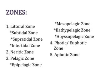 Sea ecosystem | PPTX