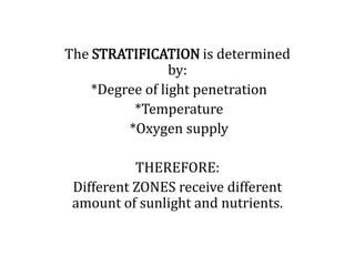 Sea ecosystem | PPTX
