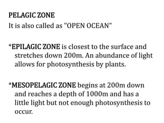 Sea ecosystem | PPTX