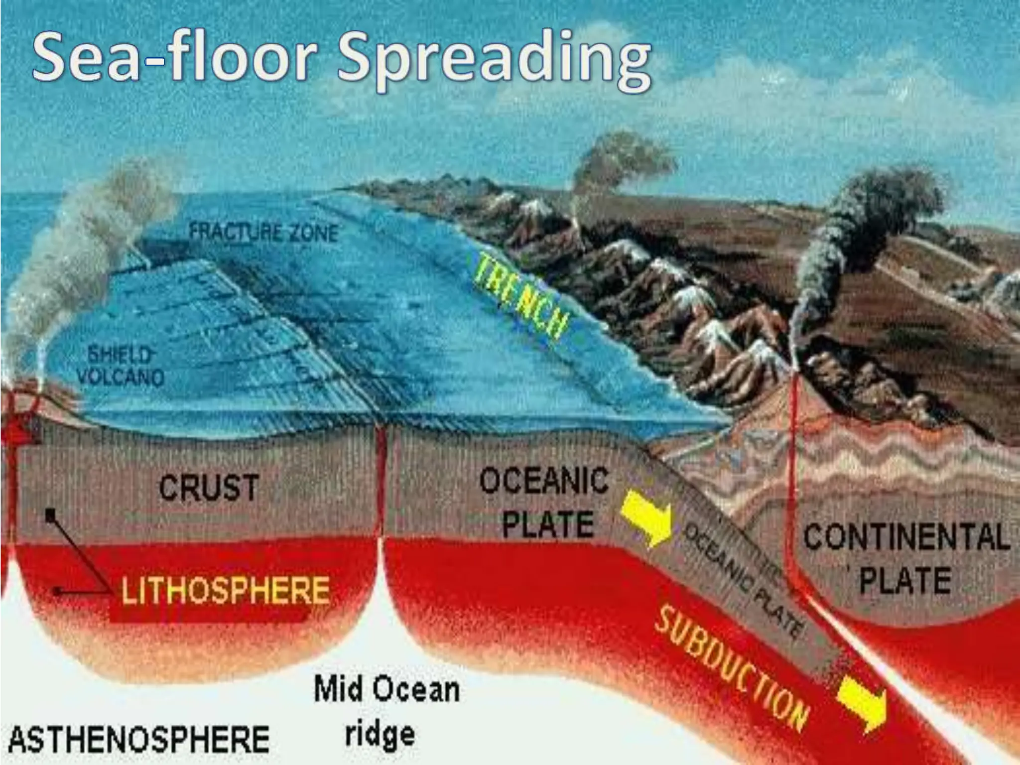 Seafloor spreading split and separate.pptx