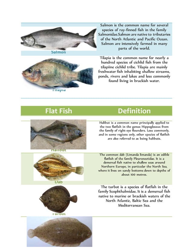 Types of Seafoods - TLE 10 | DOCX | Fish and Aquariums | Pets
