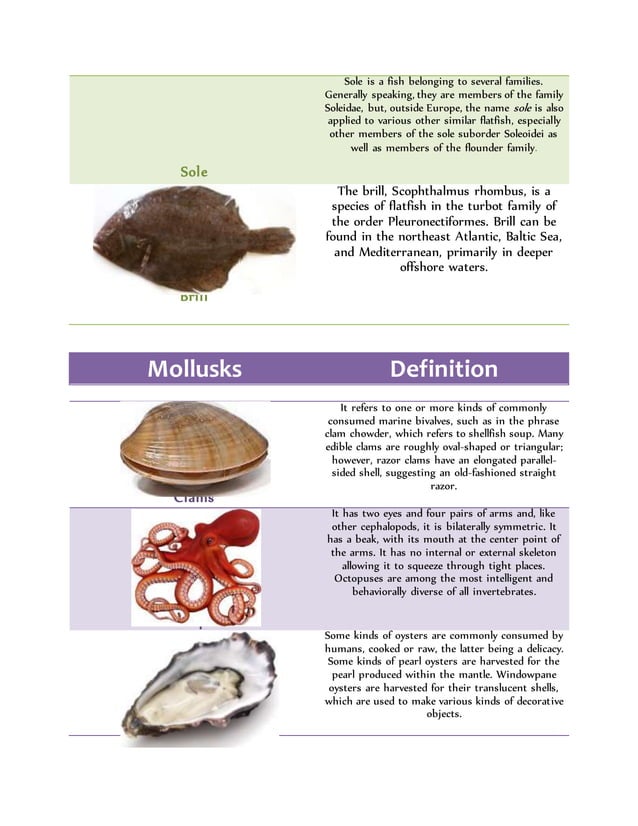 Types of Seafoods - TLE 10 | DOCX | Fish and Aquariums | Pets