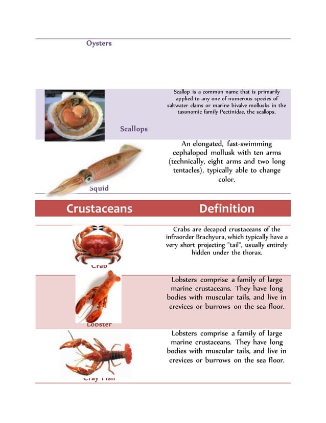 Types of Seafoods - TLE 10 | DOCX | Fish and Aquariums | Pets