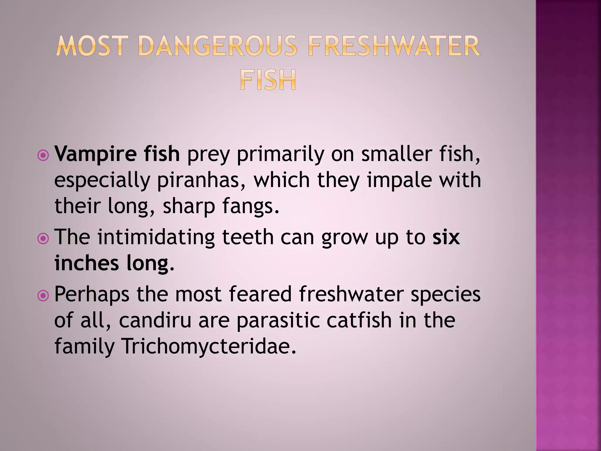 Seafood and Types | PPTX | Zoos & Aquariums | Attractions