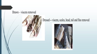 SEAFOOD cookery activities for g10a.pptx