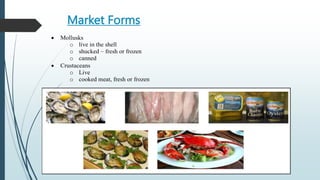 SEAFOOD cookery activities for g10a.pptx