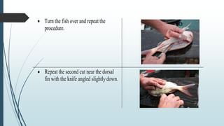 SEAFOOD cookery activities for g10a.pptx