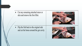 SEAFOOD cookery activities for g10a.pptx