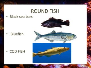 Seafood lesson for g10 | PPTX