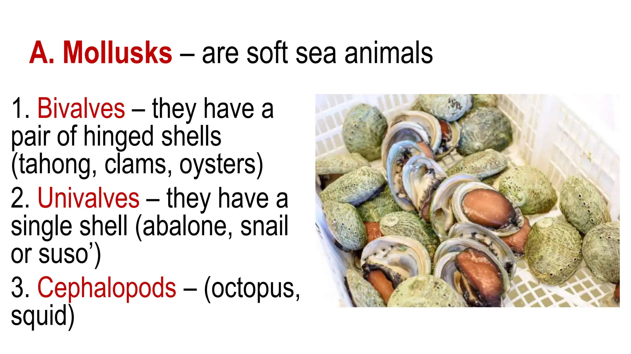all about seafood and other related topics in TLE | PPTX