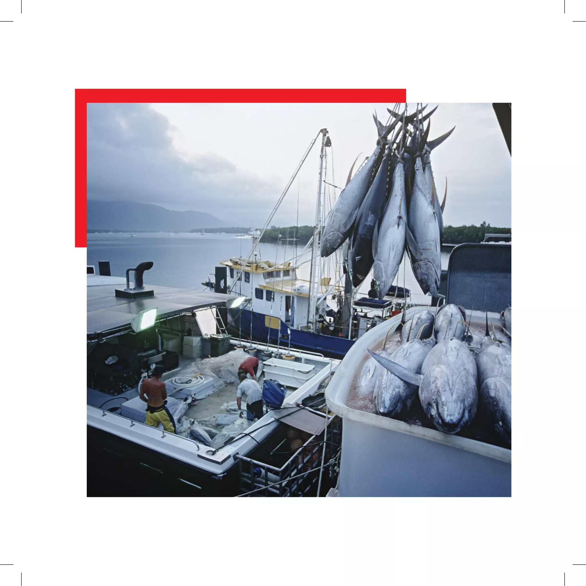 Seafood Park Deras, Odisha | PDF