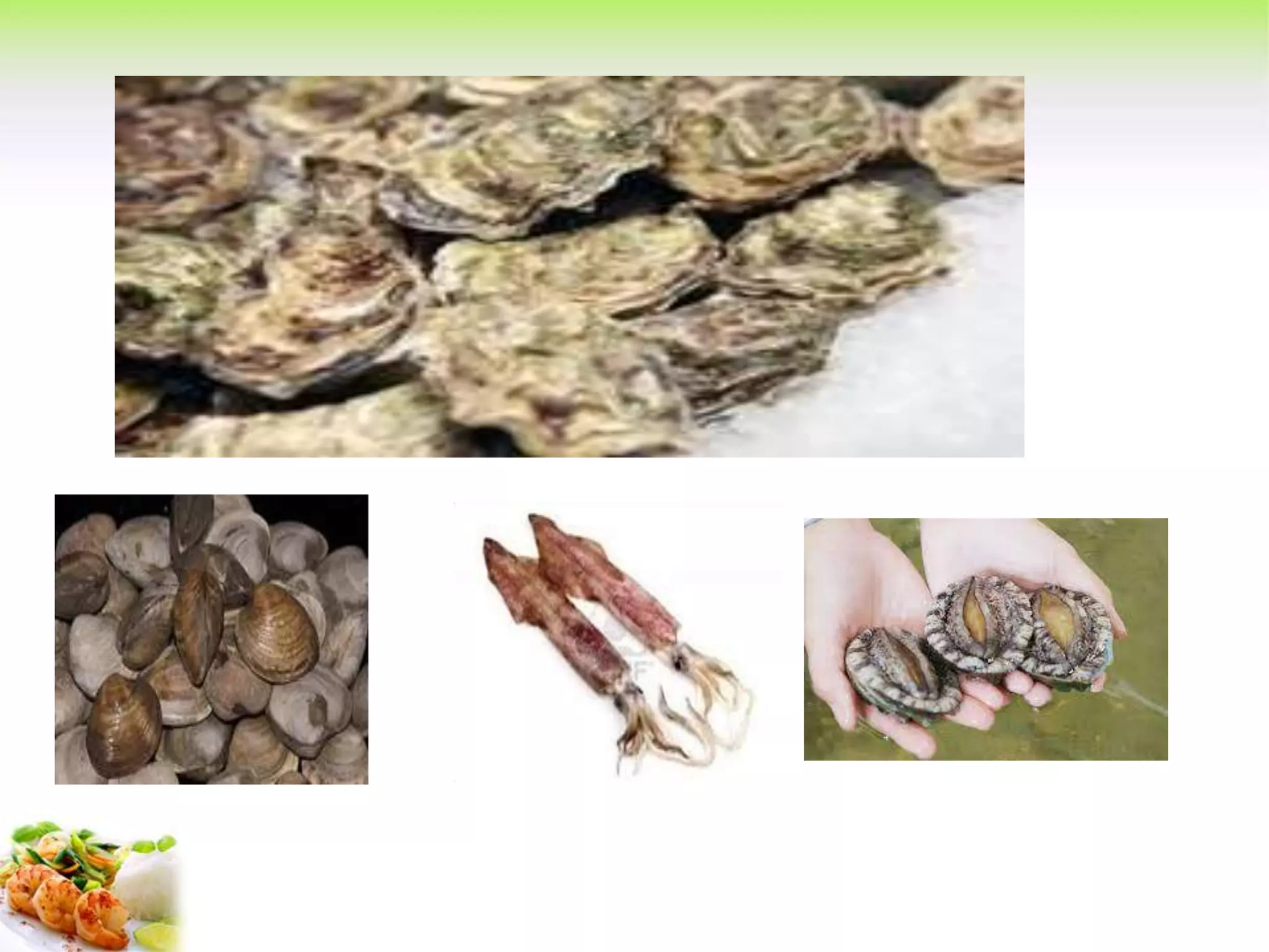 SEAFOODS PPT 1.pptx