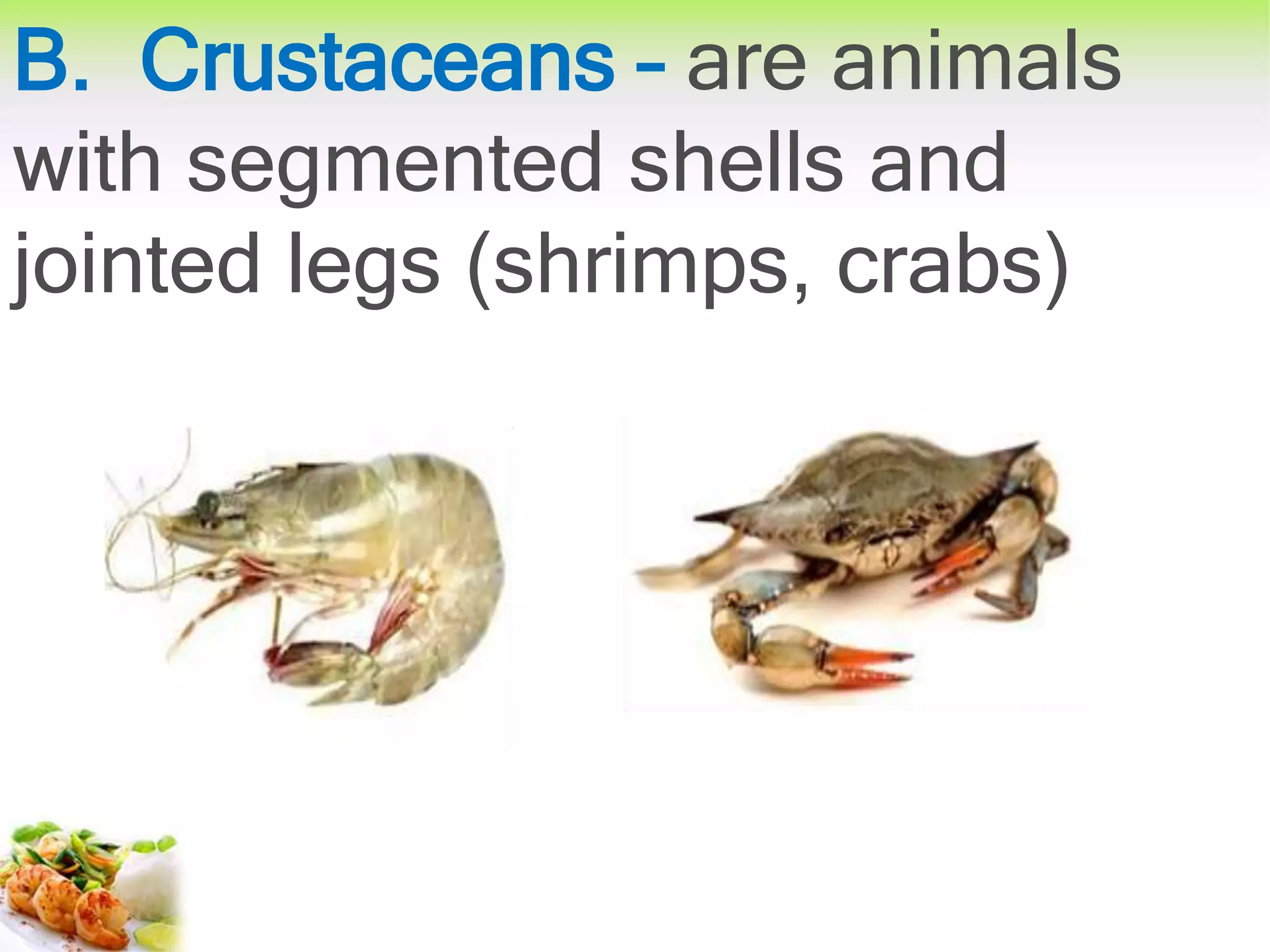SEAFOODS PPT 1.pptx