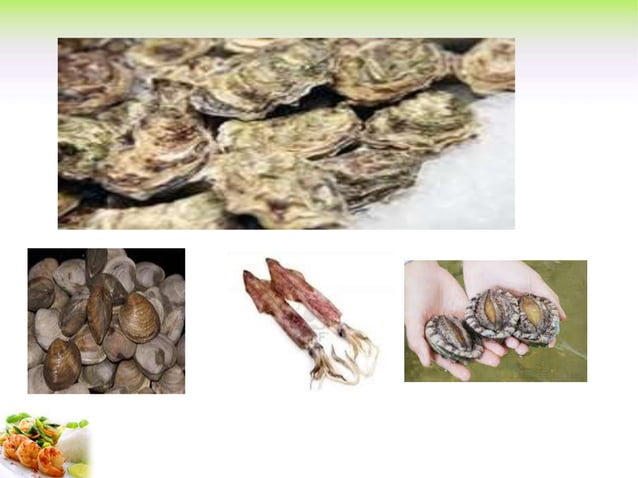 SEAFOODS PPT 1.pptx