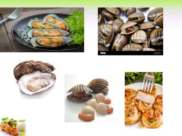 SEAFOODS PPT 1.pptx