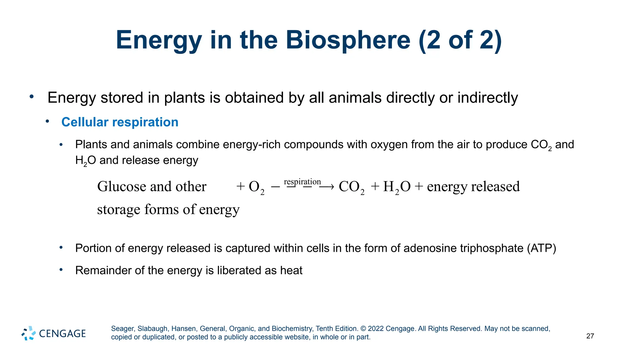 Seager_10e_Ch22_PowerPoint.ppt Biochemistry | PPTX