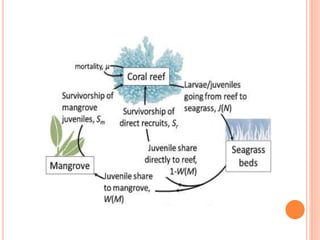 Seagrass Biology and Applications & Taxonomy | PPTX