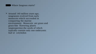 seagrass ecosystem power point presentation | PPTX | Zoos & Aquariums ...