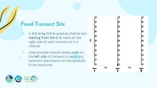 Seagrass Ecosystem Coastal Connection to the OCEANs | PDF