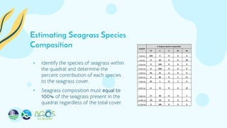 Seagrass Ecosystem Coastal Connection to the OCEANs | PDF