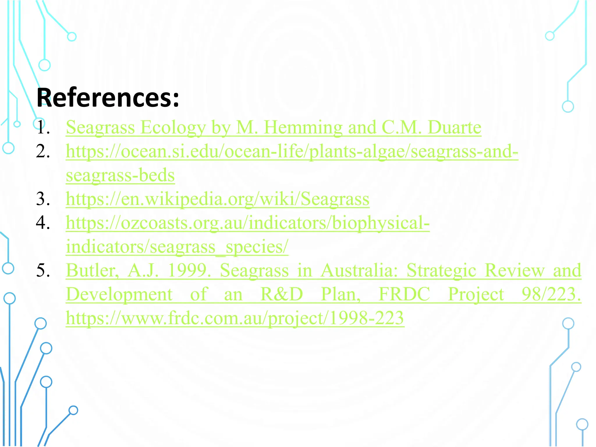 SeaGrass Classification.pptx