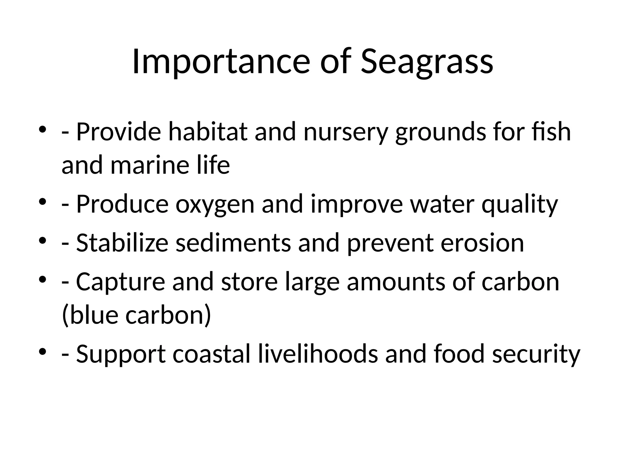 Seagrass_Ecosystems_Presentation. .pptx