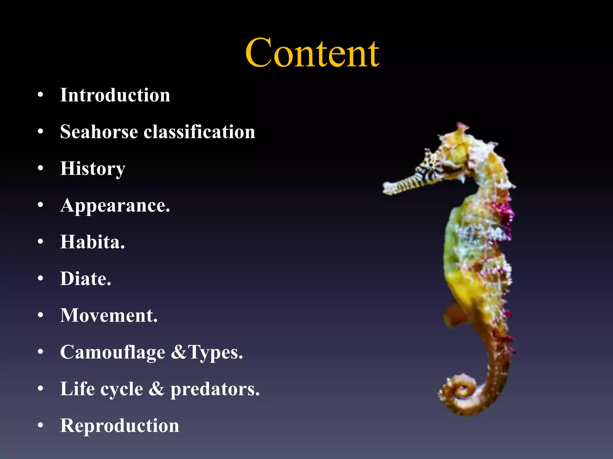 Seahorse presentation | PPTX