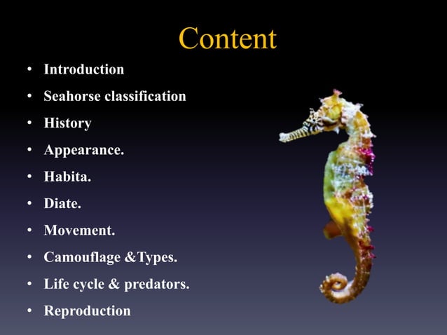 Seahorse presentation | PPTX