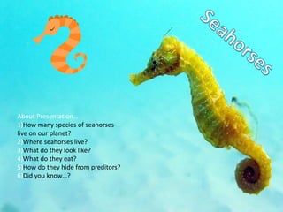 Seahorses | PPTX