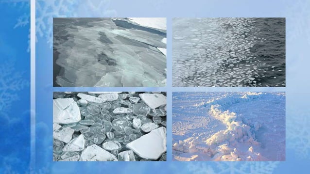 SEA ICE CYCLE.pptx