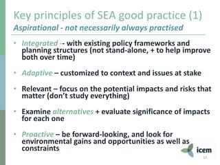 Introduction to Strategic Environmental Assessment | PPTX