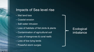 Sea level rise (final) | PPTX