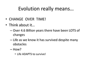 Sealey evolution | PPT